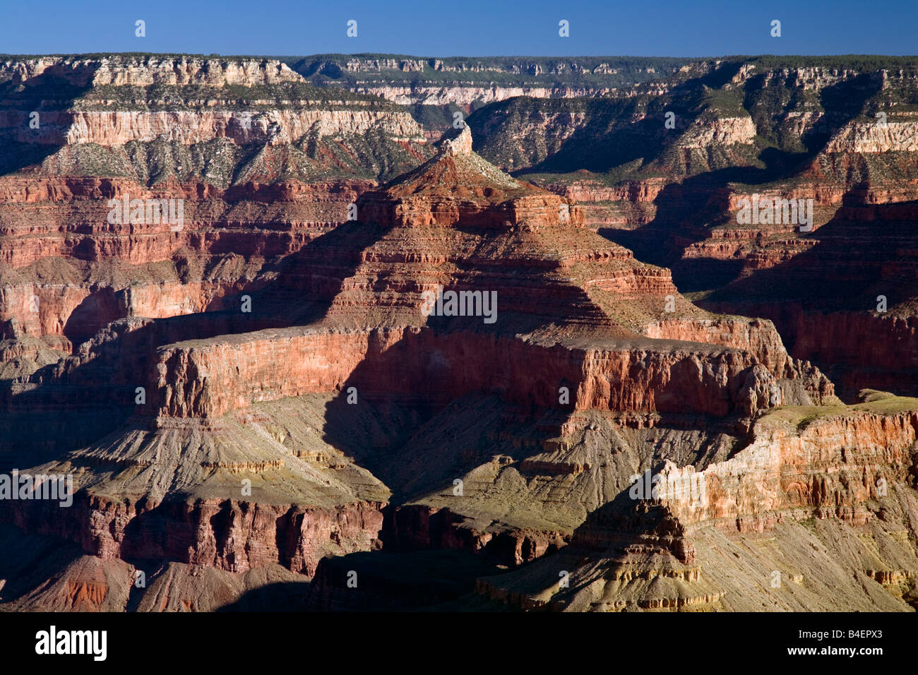 Grand Canyon Arizona USA summer hot blue skies Stock Photo - Alamy