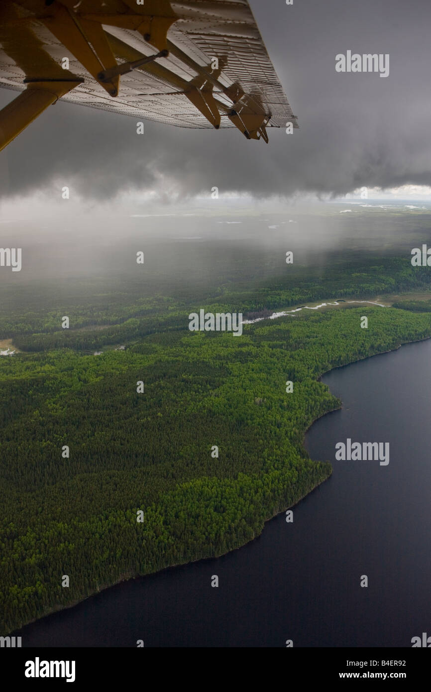 Aerial view of lakes, Islands and forest of Northern Ontario, Red Lake ...