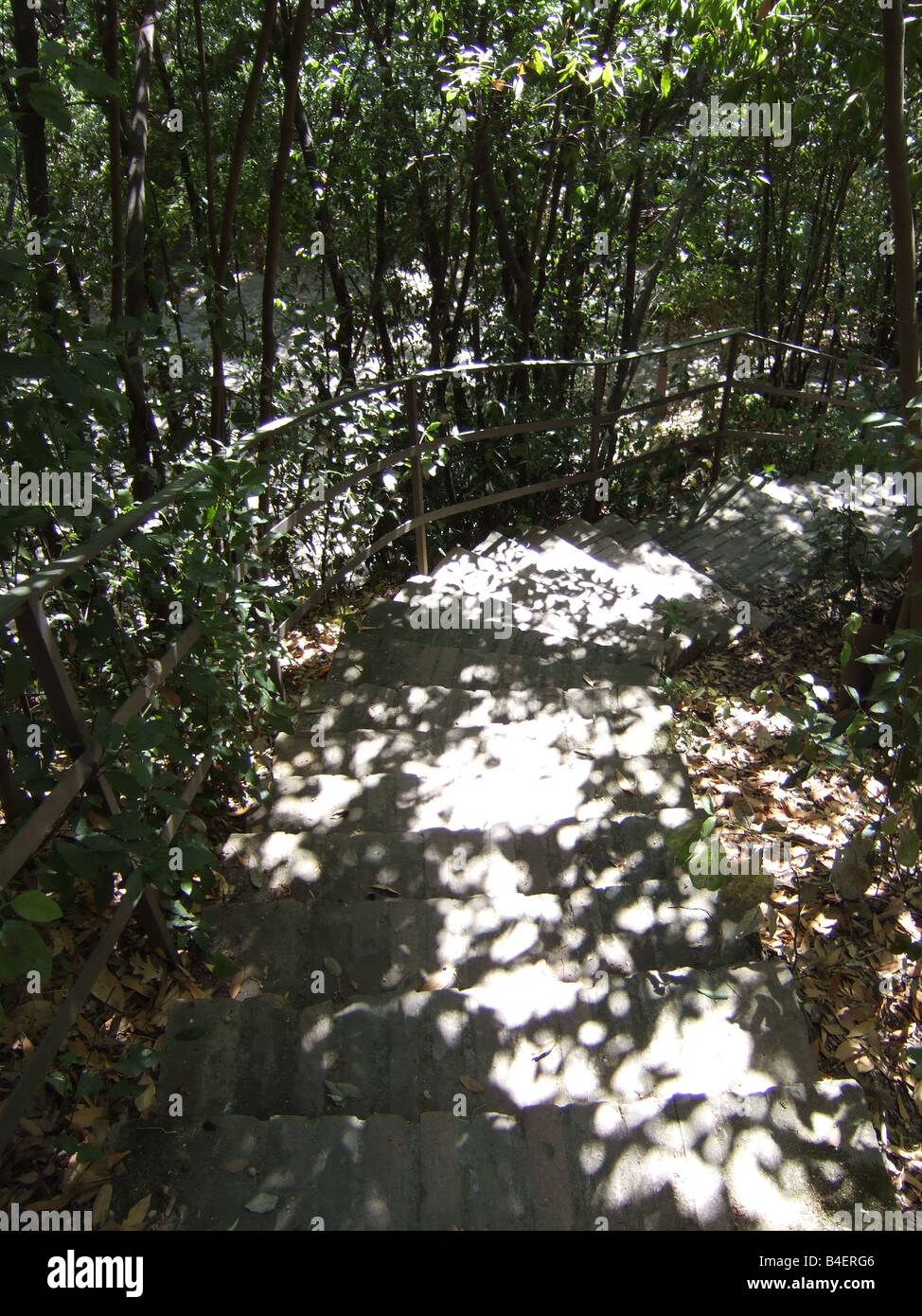 walk way foot path woods in country Stock Photo - Alamy