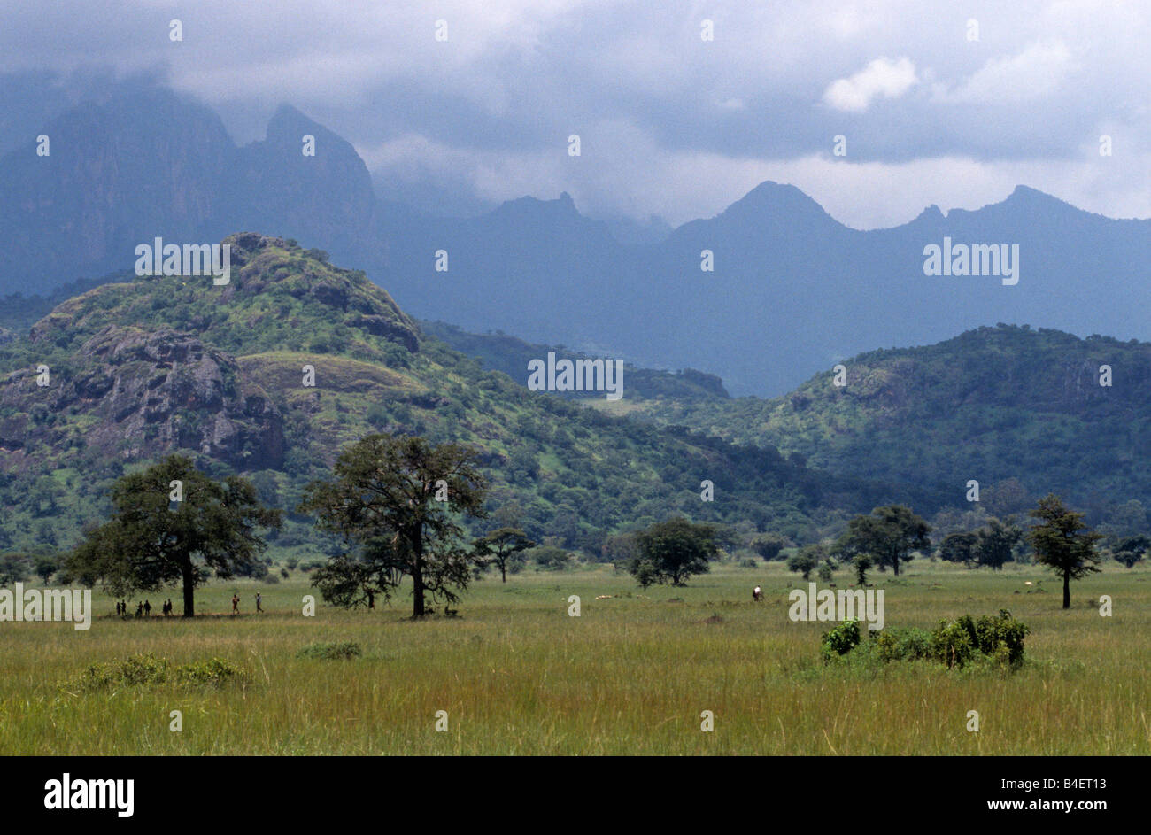 Scenic view of mountain ranges and nature reserve, Uganda Stock Photo ...