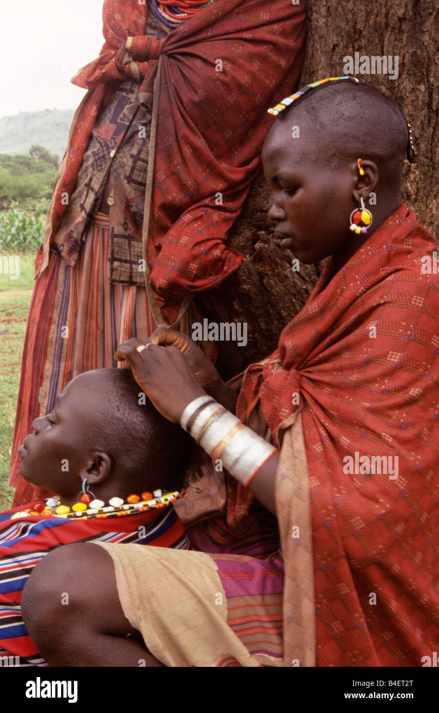 Karamojong women hairdressing in village, Karamoja, Uganda Stock Photo - Alamy