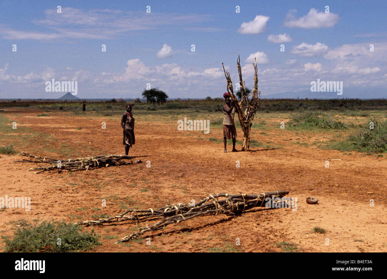 Ethnic Karamojong villagers collecting tree branches, Karamoja, Uganda Stock Photo - Alamy
