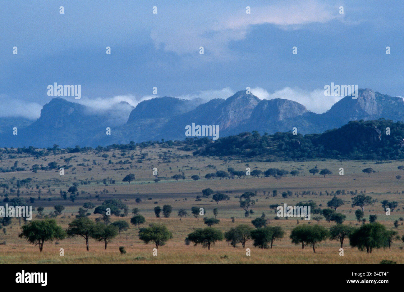 Scenic view of mountain ranges and nature reserve, Uganda Stock Photo ...