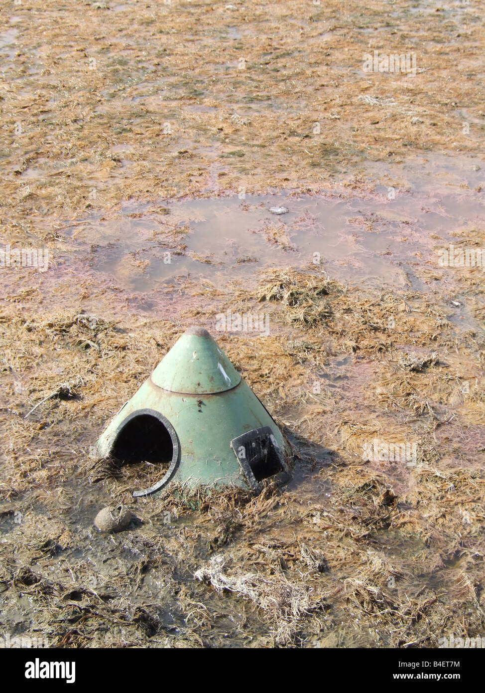 one green litter dumped in dirty river Stock Photo - Alamy