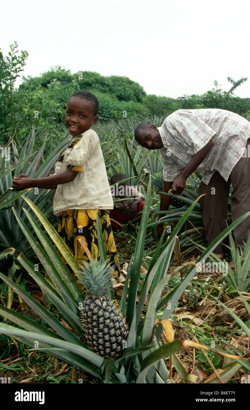 Children working in fields hi-res stock photography and images - Alamy