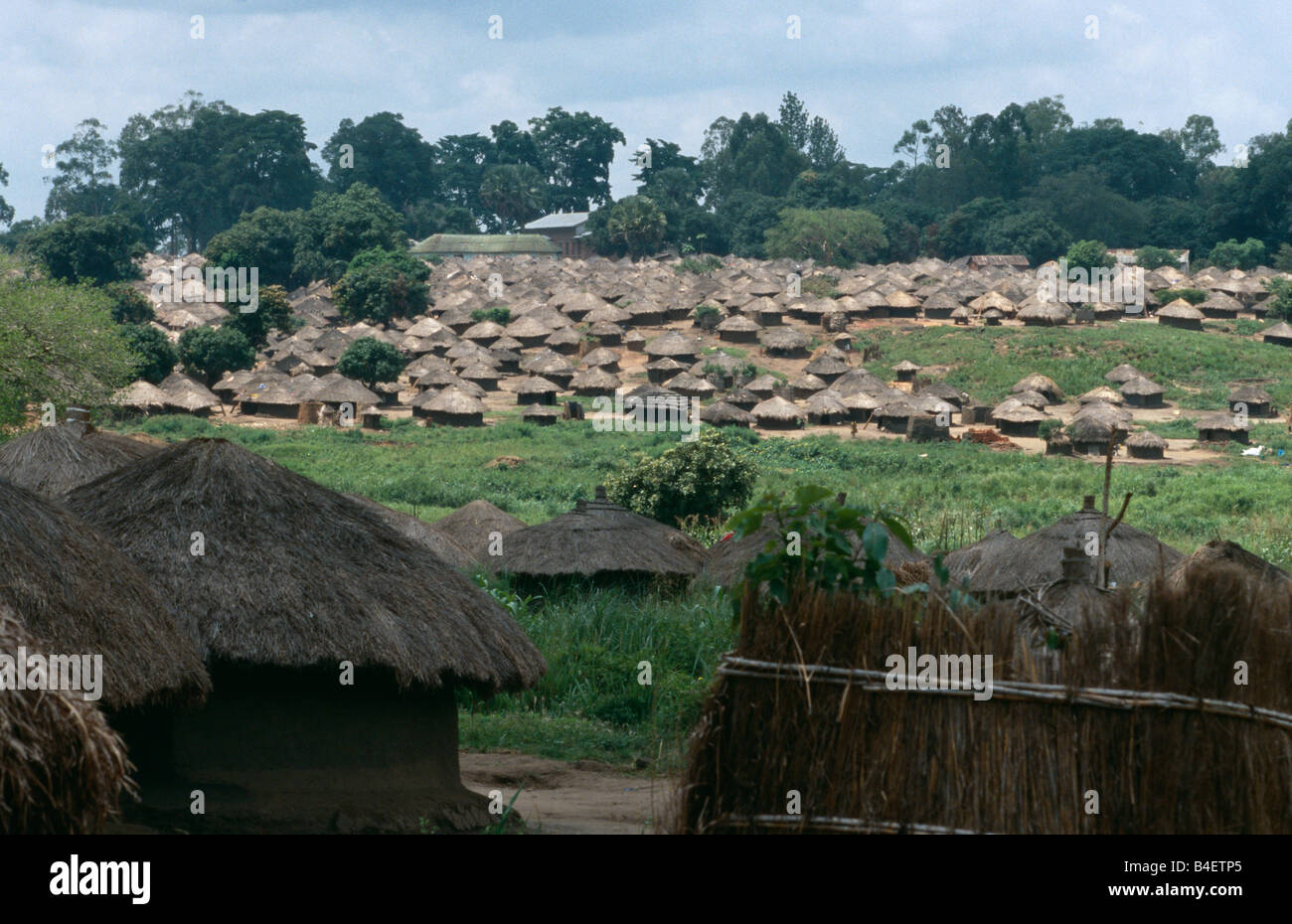Thatched huts in village, Uganda Stock Photo - Alamy