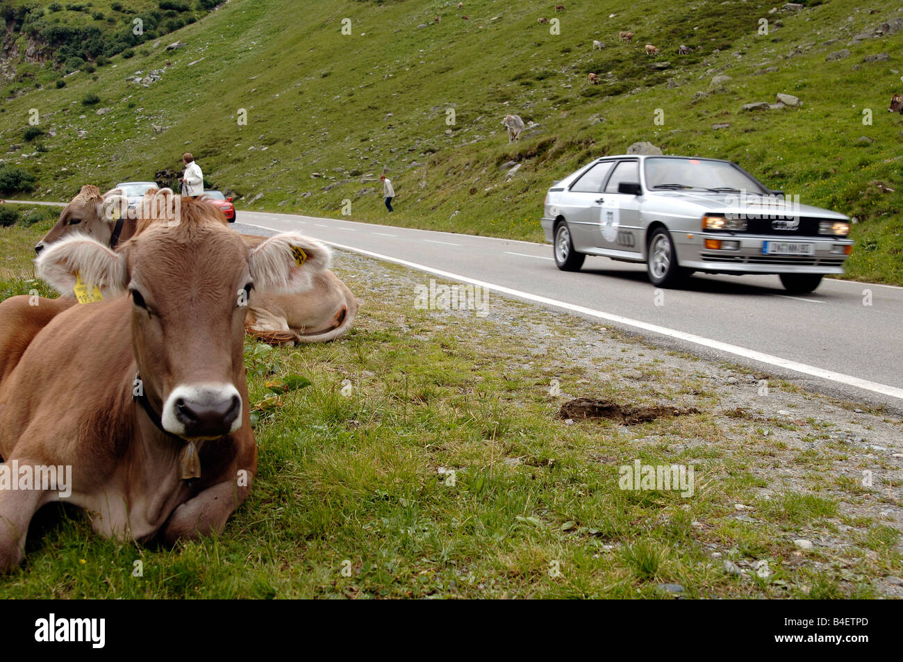 Silvretta Classic 2005, landscape, scenery Stock Photo - Alamy