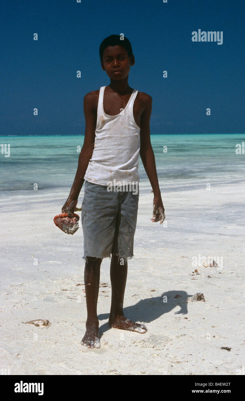 Boy collecting shells hi-res stock photography and images - Alamy