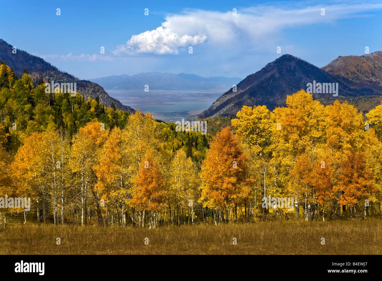 Autumn trees with mountain peaks and valley lake in distance Stock ...