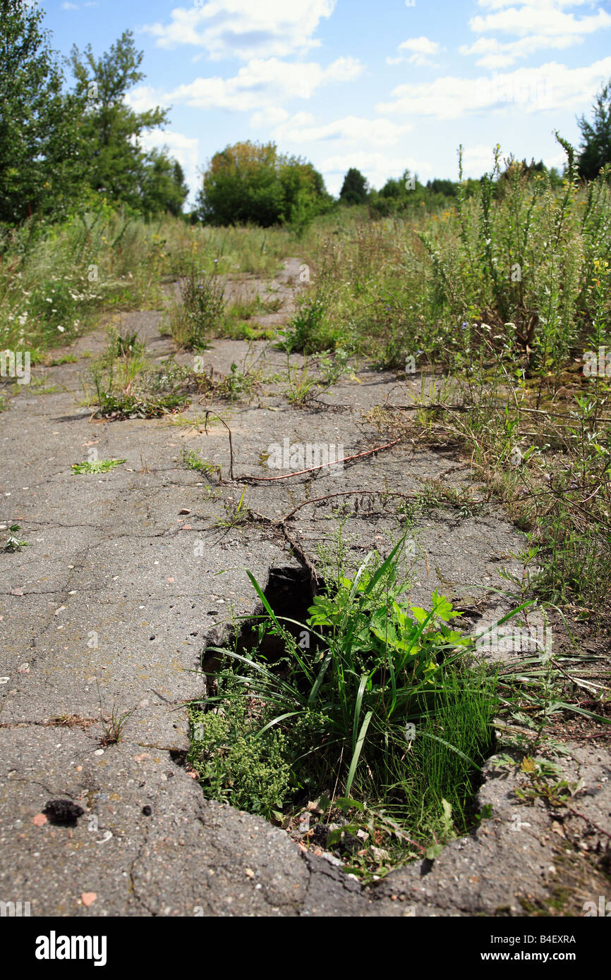 A run-down country road in the restricted radioactive zone near Gomel ...