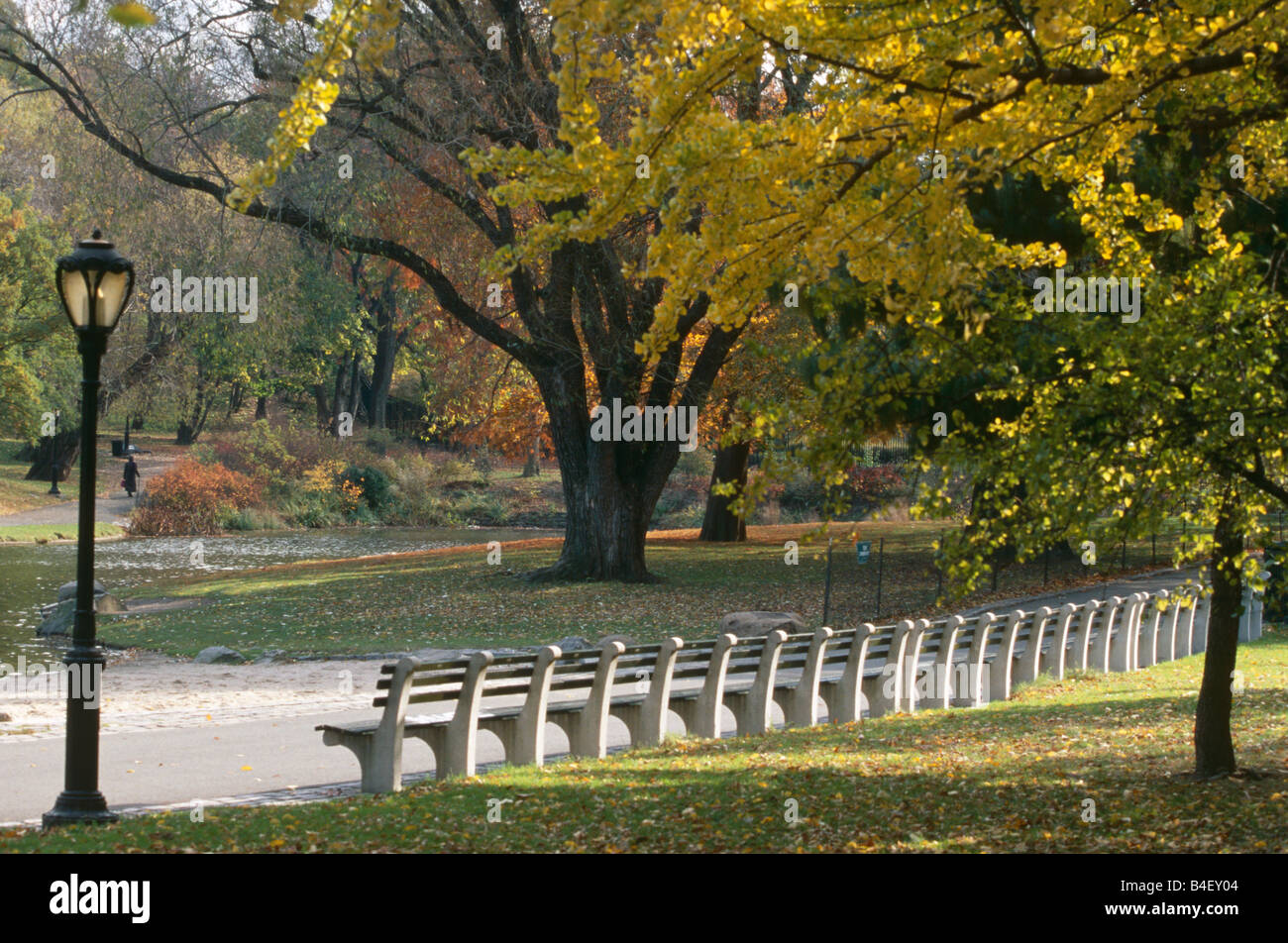 Central Park in autumn, Manhattan, New York City, USA Stock Photo - Alamy