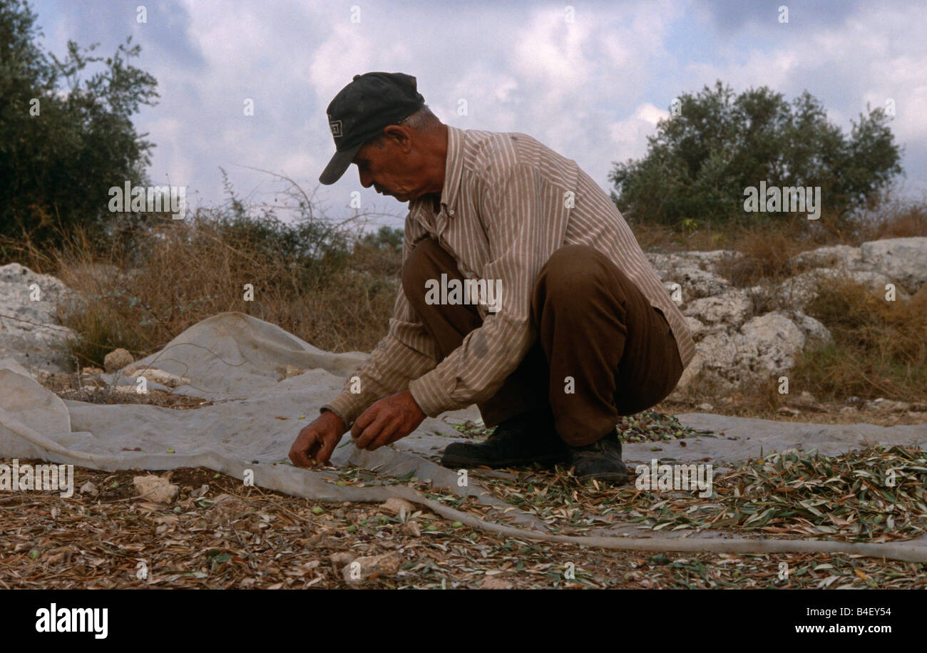 Palestine cap hi-res stock photography and images - Alamy