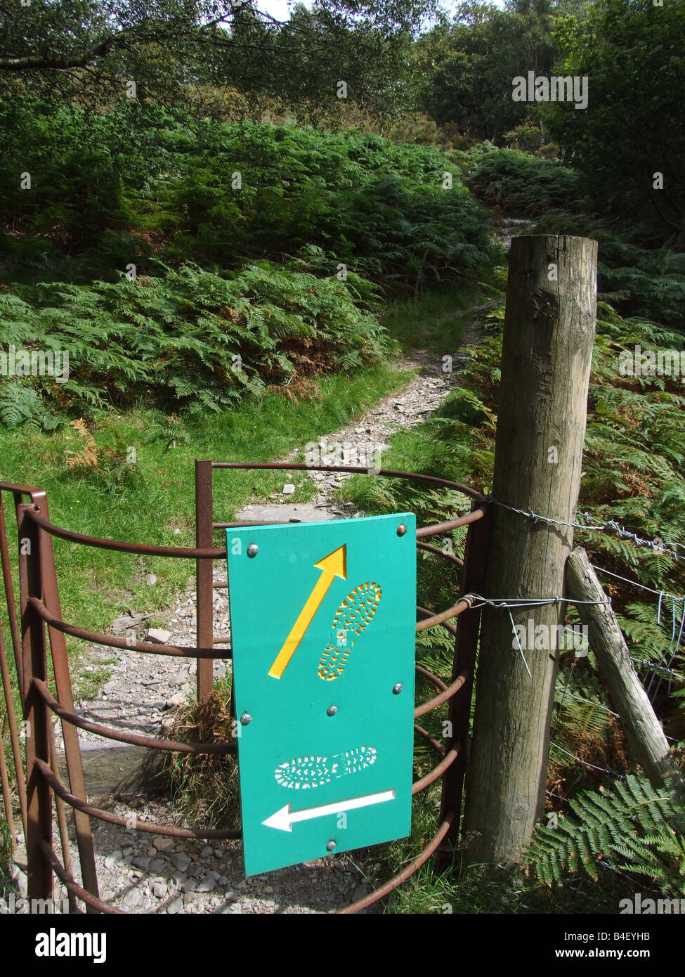 Direction arrow sign on public footpath in woods in snowdonia hi-res ...