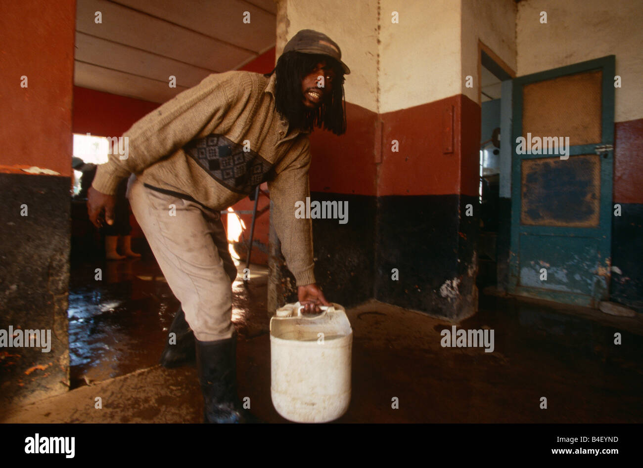 Workers at a barn in South Africa Stock Photo - Alamy
