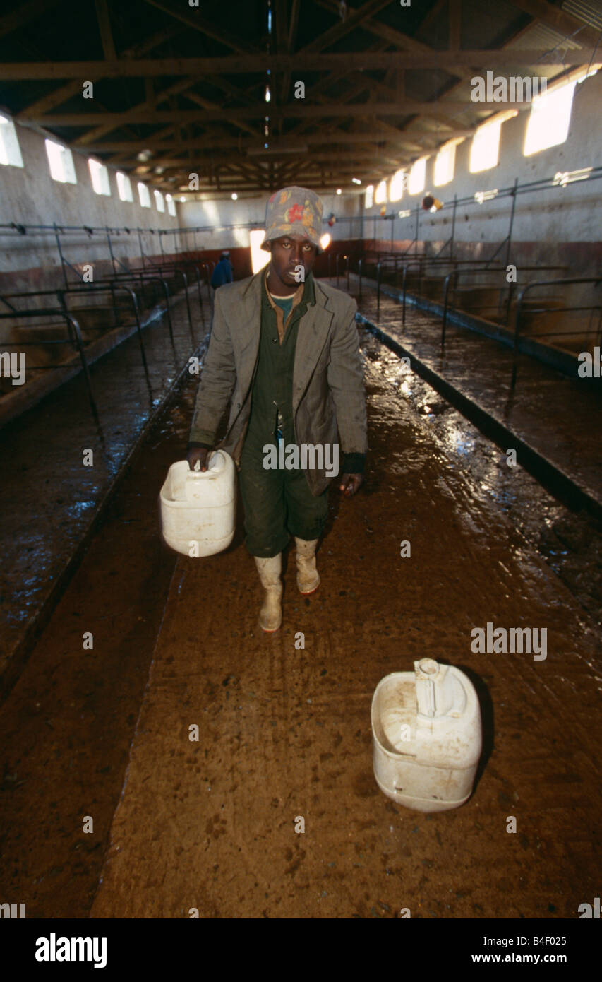 Man washing barn, South Africa Stock Photo - Alamy