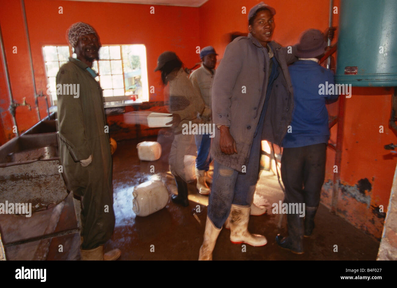 Men working at a barn in South Africa Stock Photo - Alamy