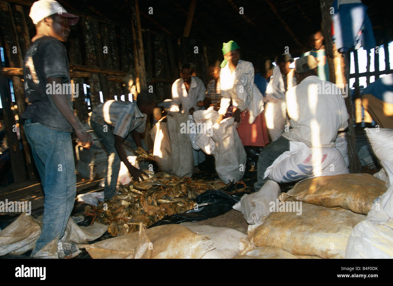 Food distribution for displaced people at a camp in war-ravaged Angola ...