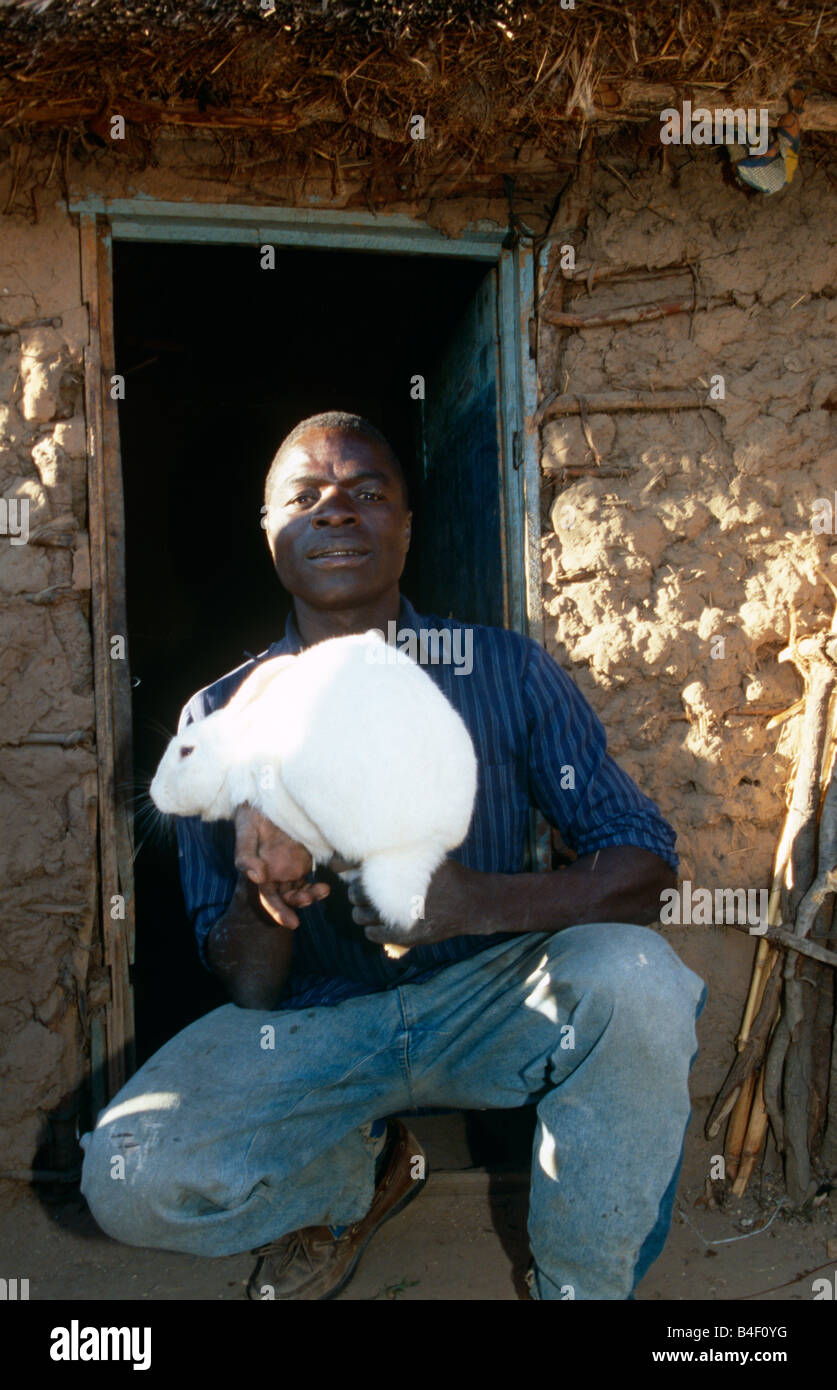 Rabbit farmer holding up white rabbit outside mud hut, Angola Stock ...