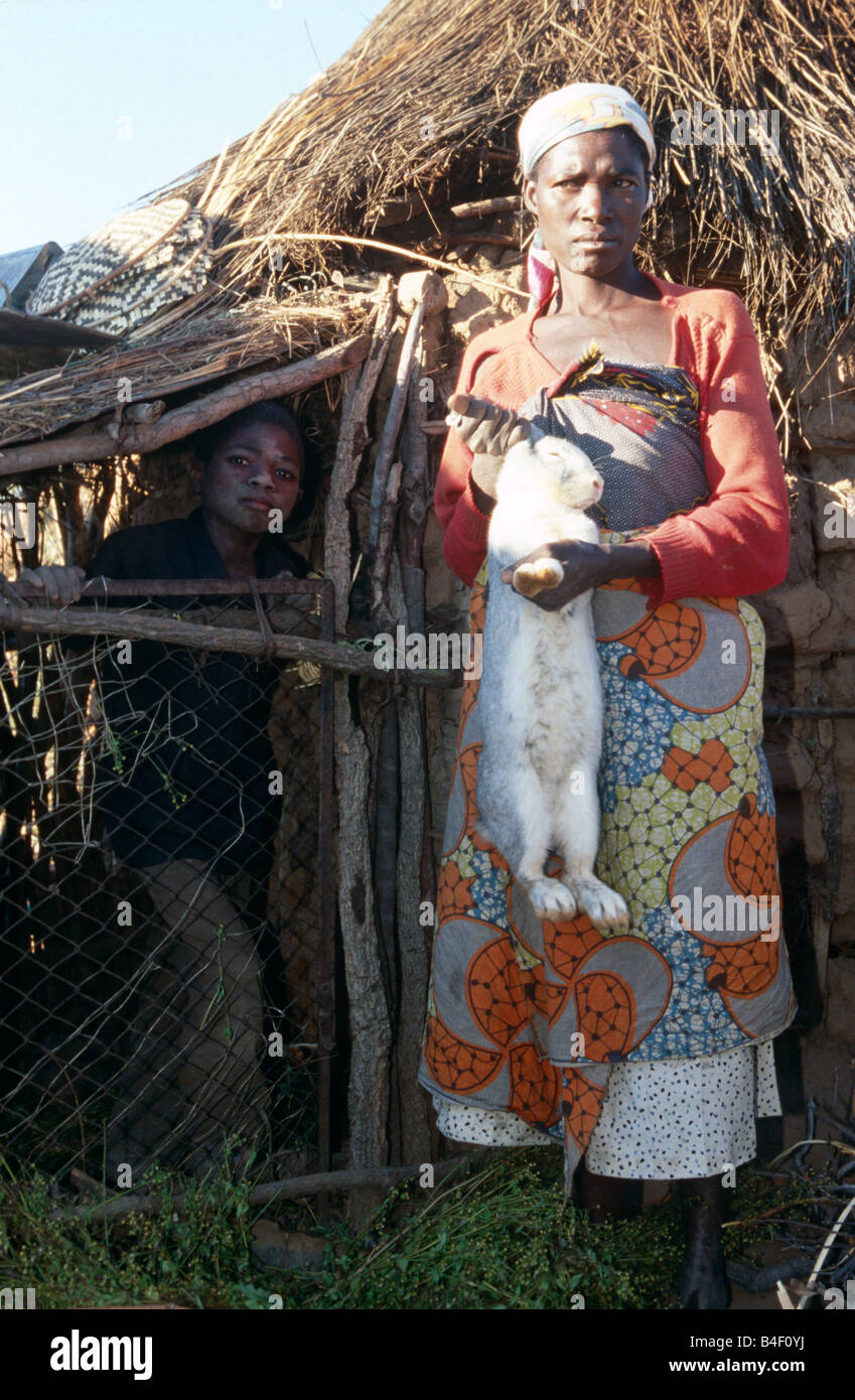 A rabbit farmer in Angola Stock Photo - Alamy