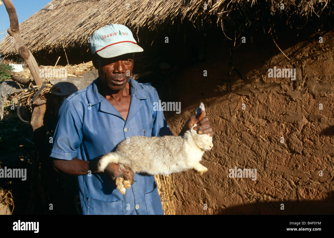 A rabbit farmer in Angola Stock Photo - Alamy