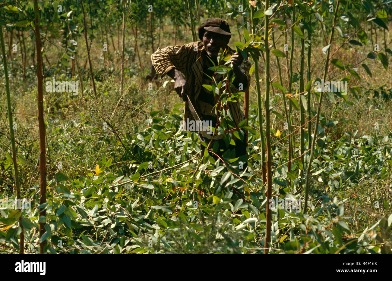 Field worker in Burundi Stock Photo - Alamy