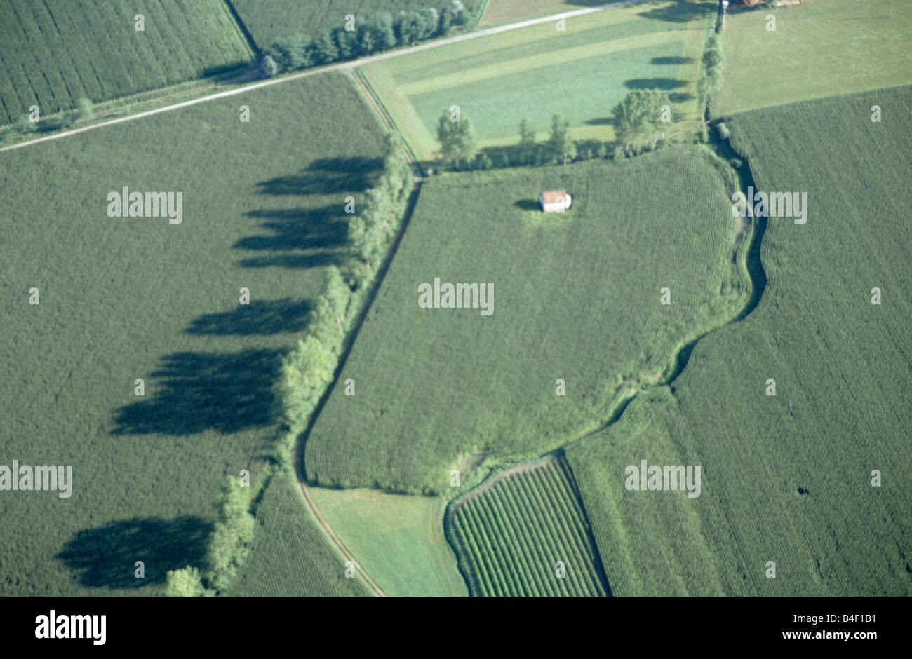 Green fields in Lombardy, Italy Stock Photo - Alamy