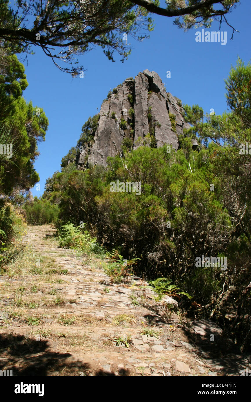 Pinaculo madeira portugal hi-res stock photography and images - Alamy
