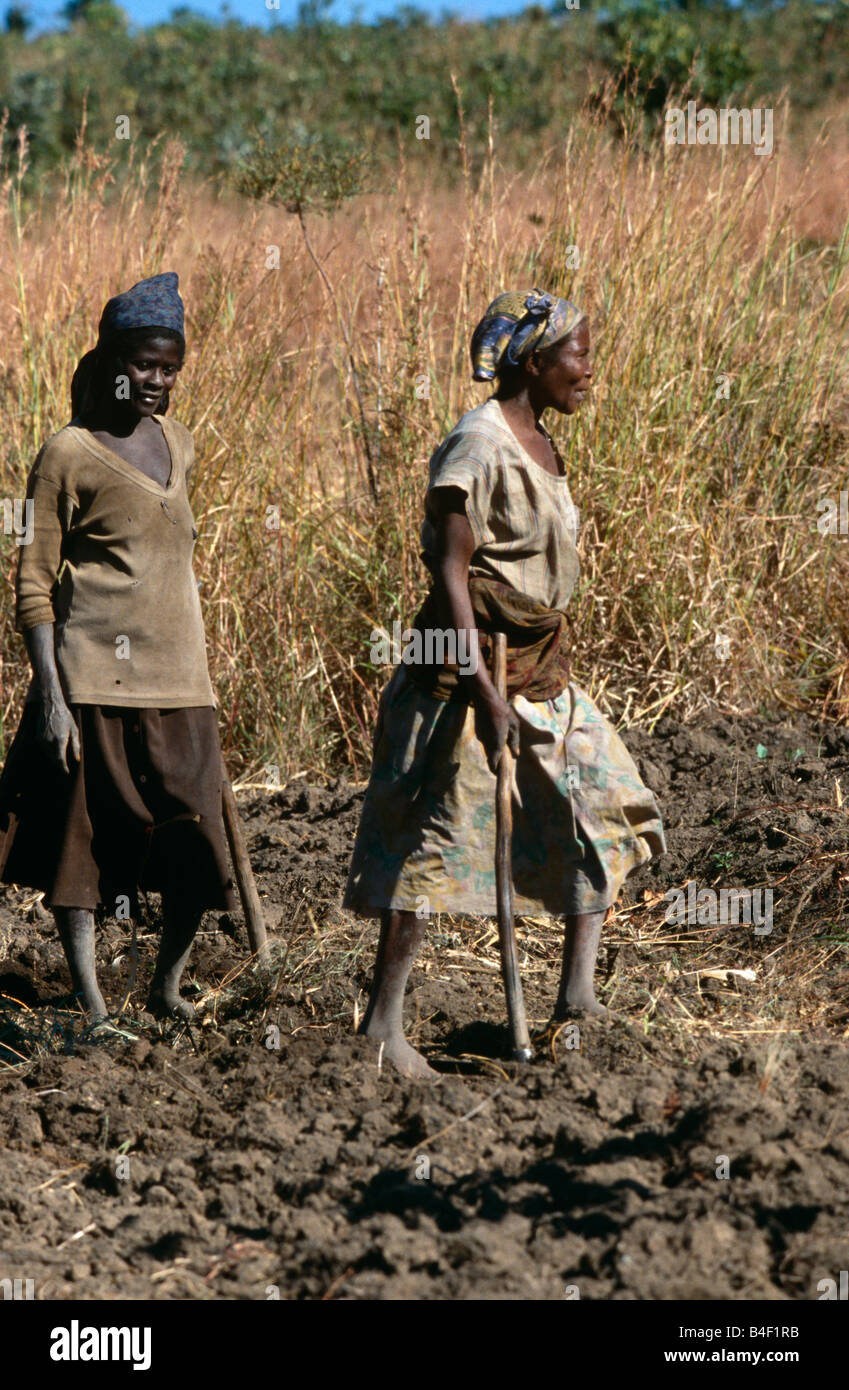 Workers at an agriculture redevelopment project in war-ravaged Angola ...