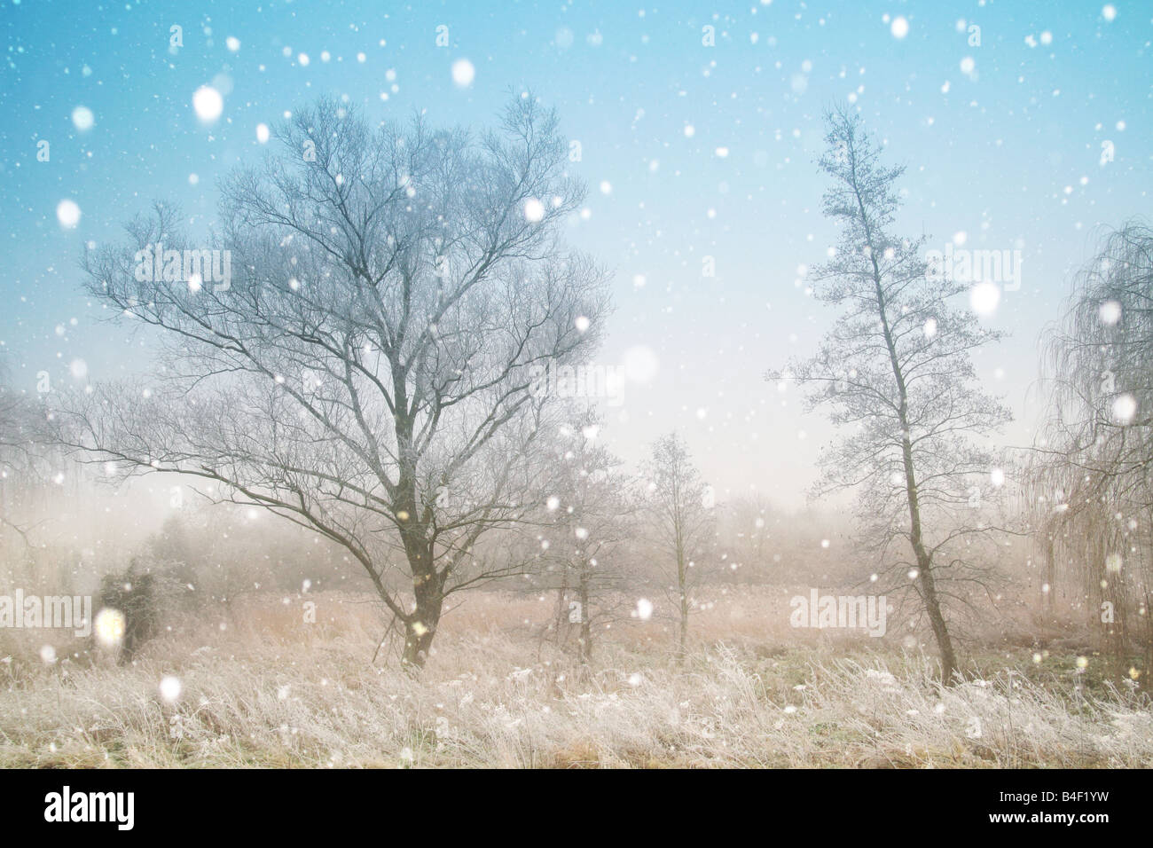 snowy winter scene Stock Photo - Alamy