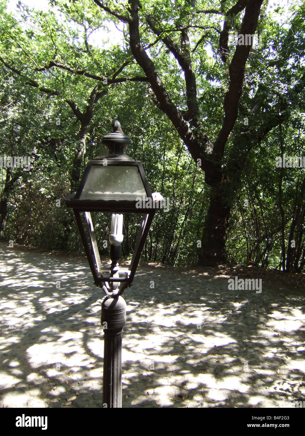 street lighting lamp in woods forest in country Stock Photo - Alamy