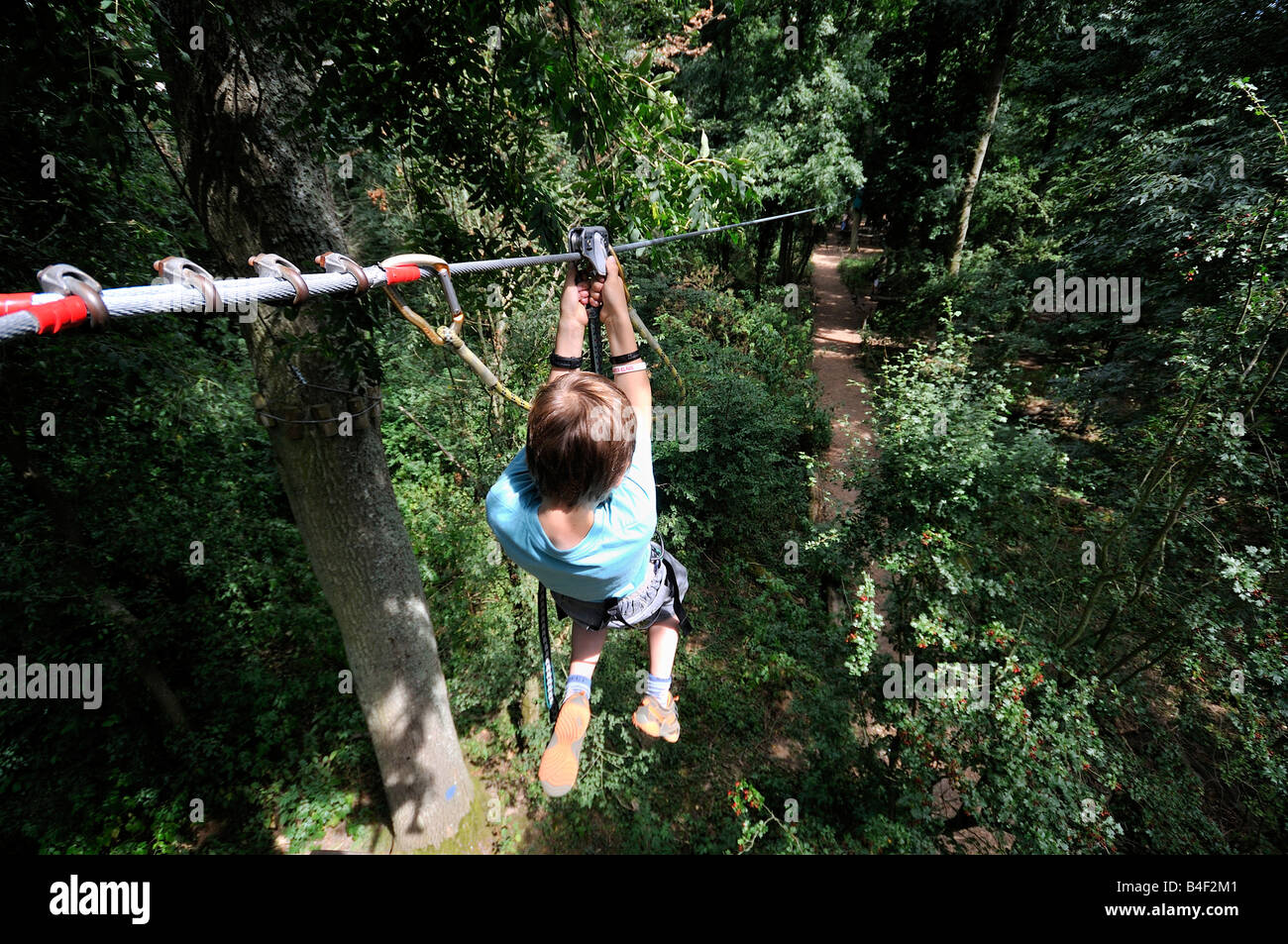 Rope climbing adventure on height trees in forest Stock Photo - Alamy