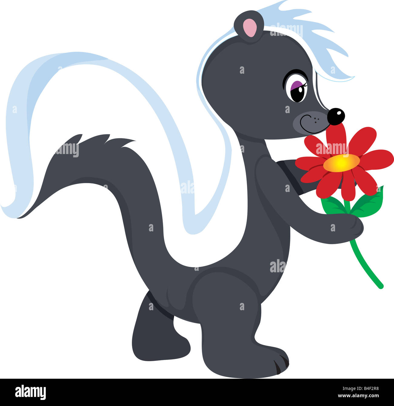 A cute little skunk holding a red flower He s sniffing it and is ...