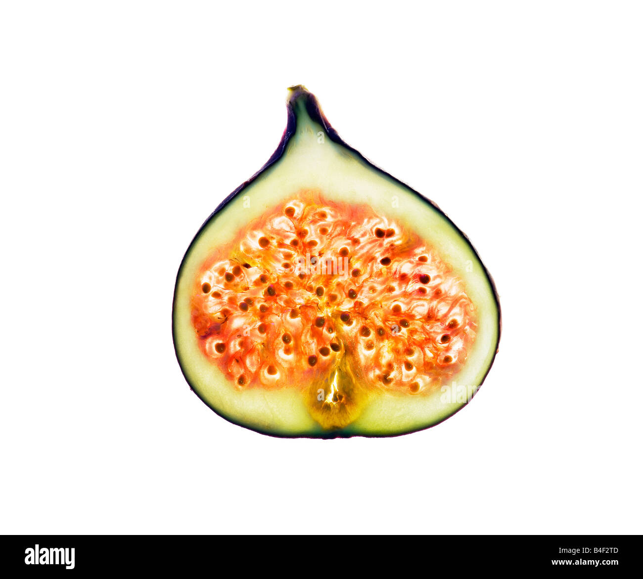 fresh fig slice sliced transparent transparency light studio cut Stock ...