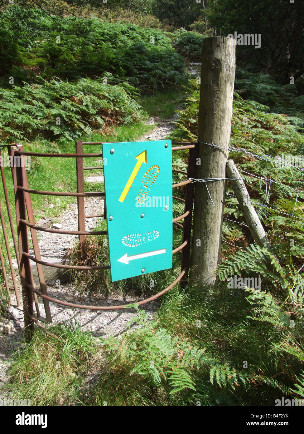 direction arrow sign on public footpath in woods in snowdonia, north ...