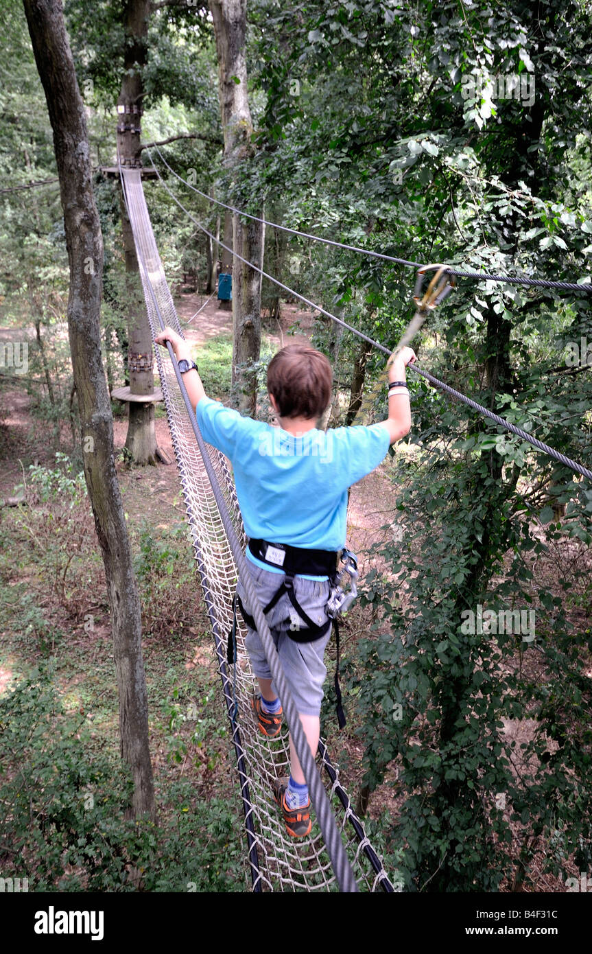 Rope climbing adventure on height trees in forest Stock Photo - Alamy