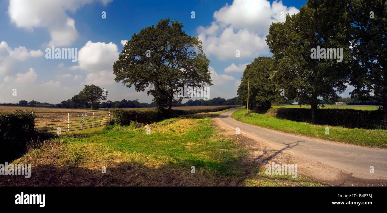 country lane the baddesley clinton estate warwickshire midlands england ...