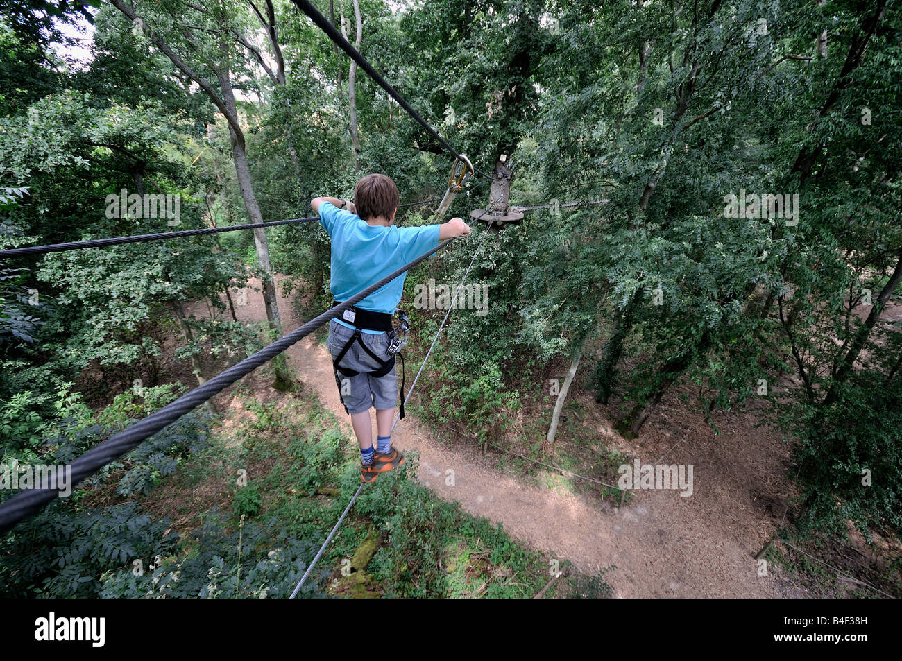 Rope climbing adventure on height trees in forest Stock Photo - Alamy
