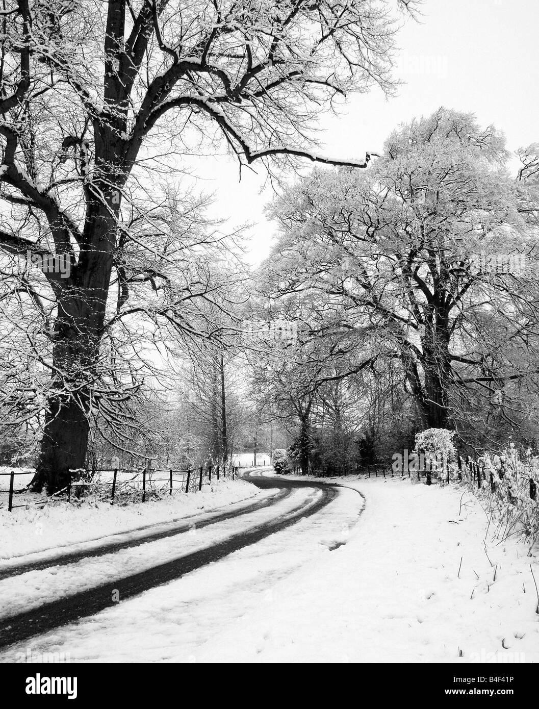 Lane frost Black and White Stock Photos & Images - Alamy