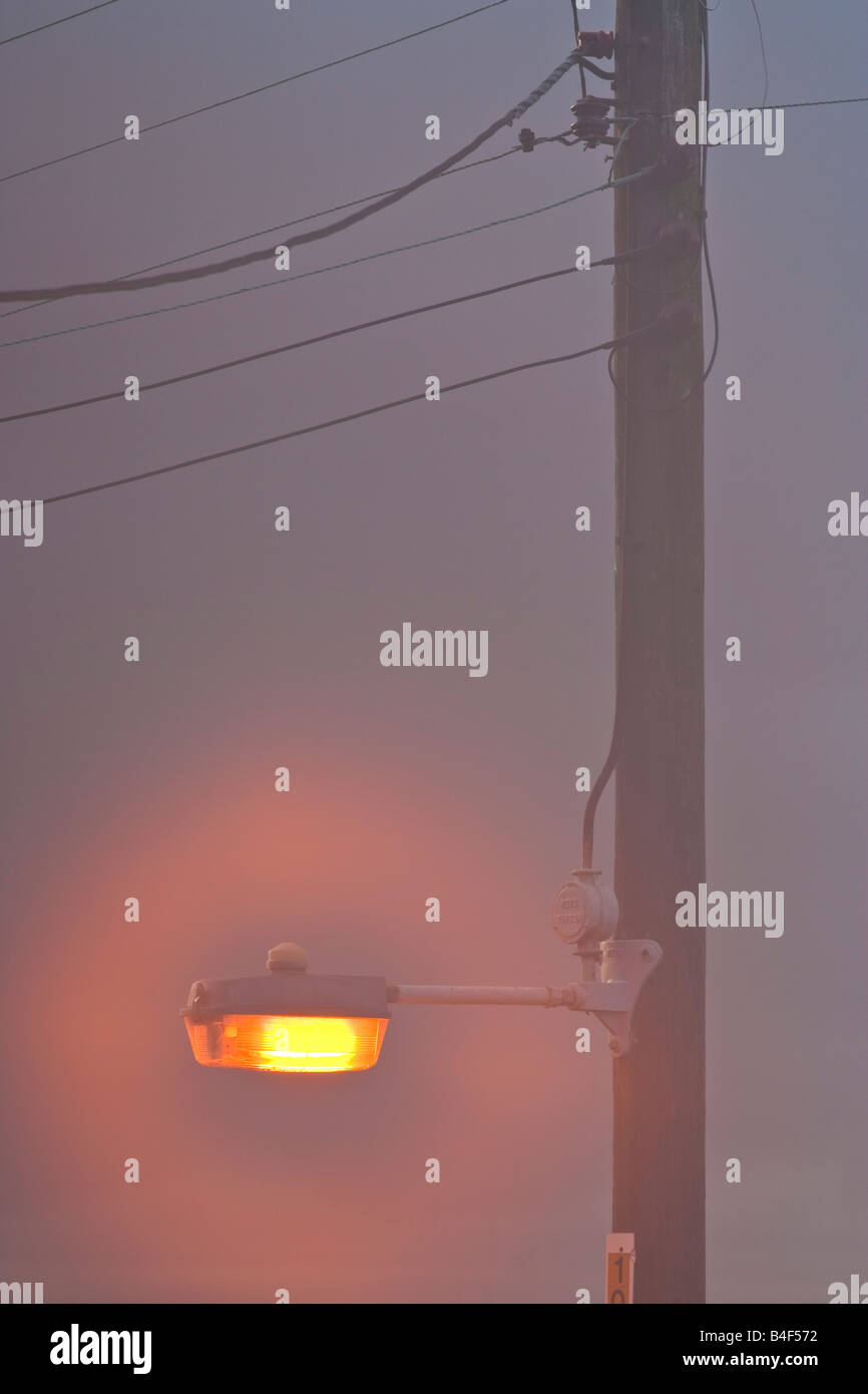 A lit streetlamp on a road in Britain shining through mist Stock Photo ...