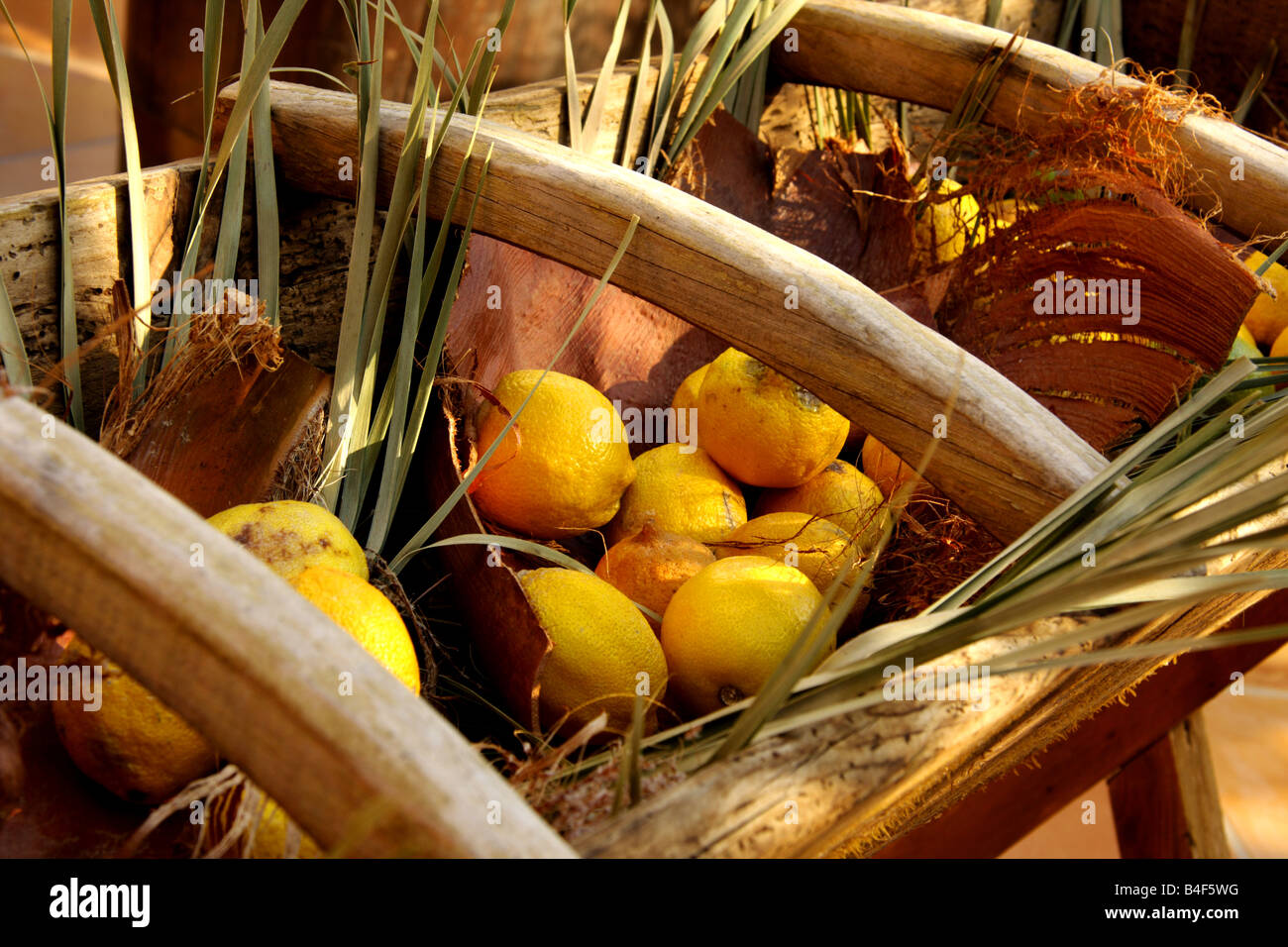 Lemons drying in the sun in a traditional trough Stock Photo - Alamy