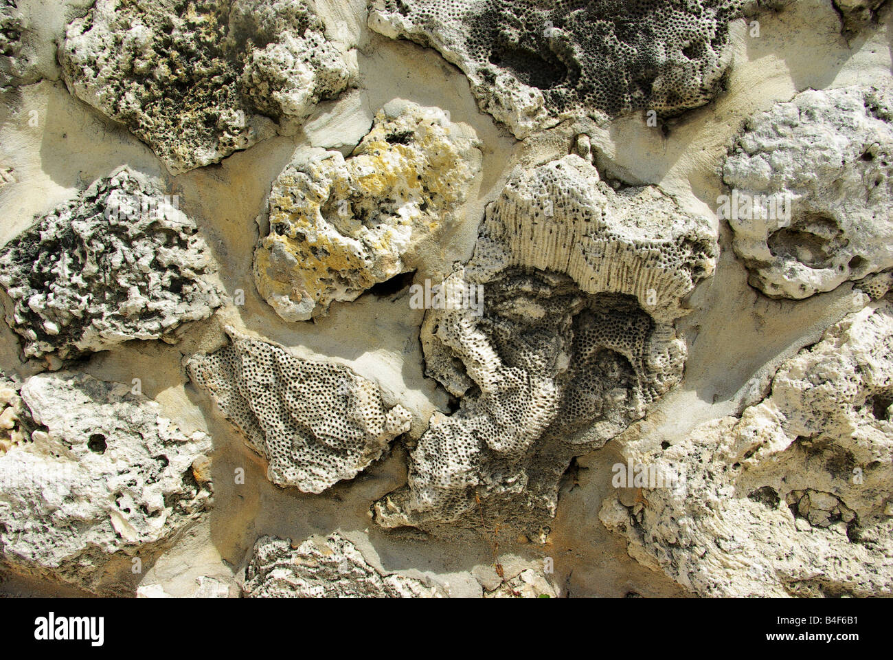 Coral Stone Wall High Resolution Stock Photography and Images - Alamy