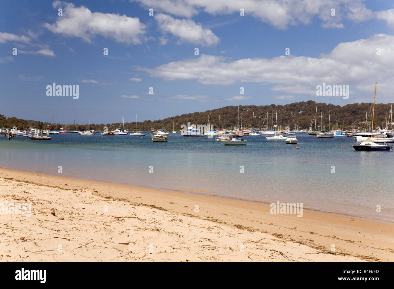 Pittwater shore hi-res stock photography and images - Alamy