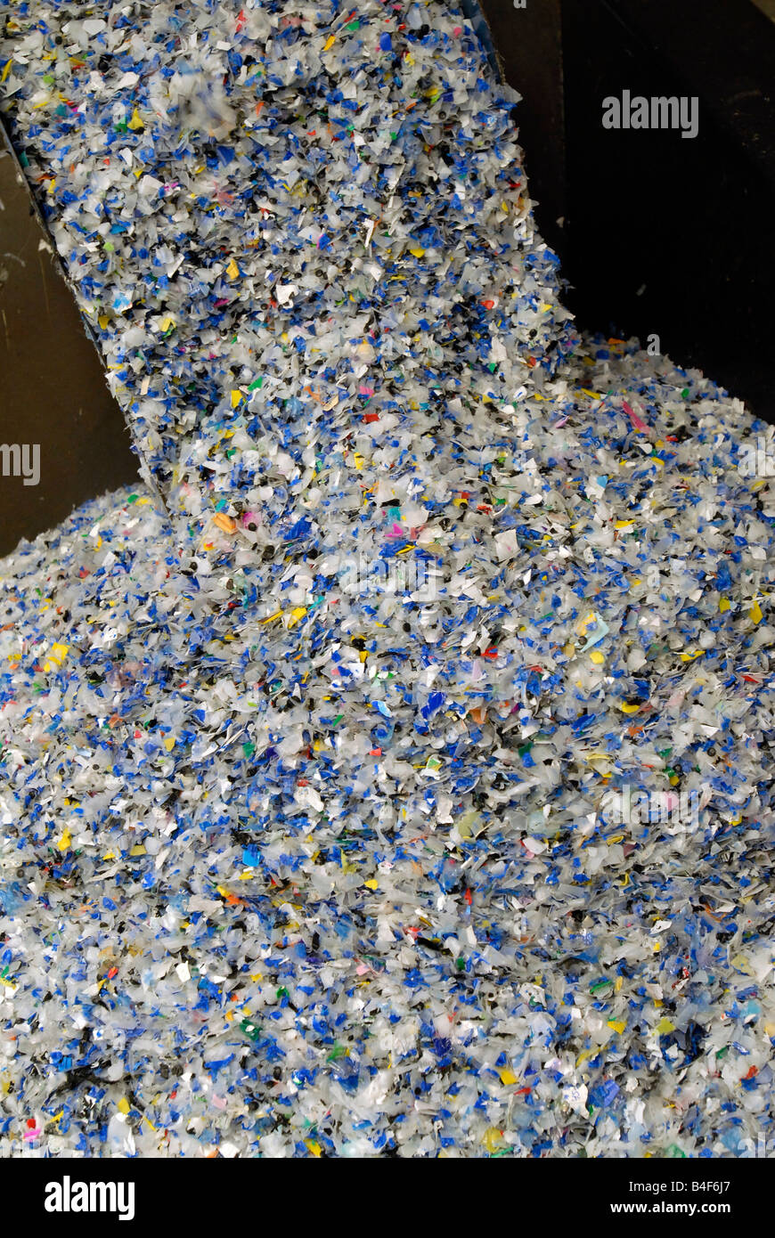 Shredded plastic bottles leaving a commercial shredder before being ...