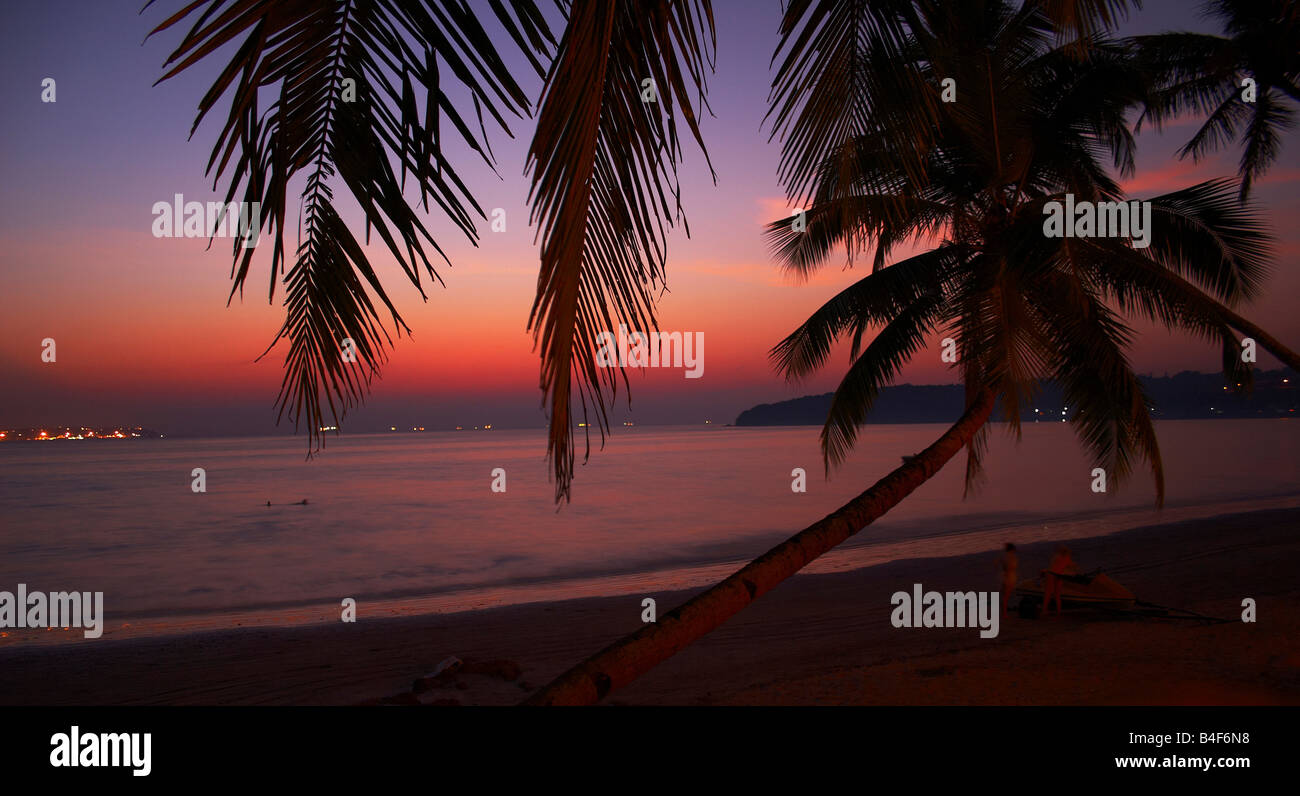 Beautiful sunset on the beach with palm trees Stock Photo - Alamy