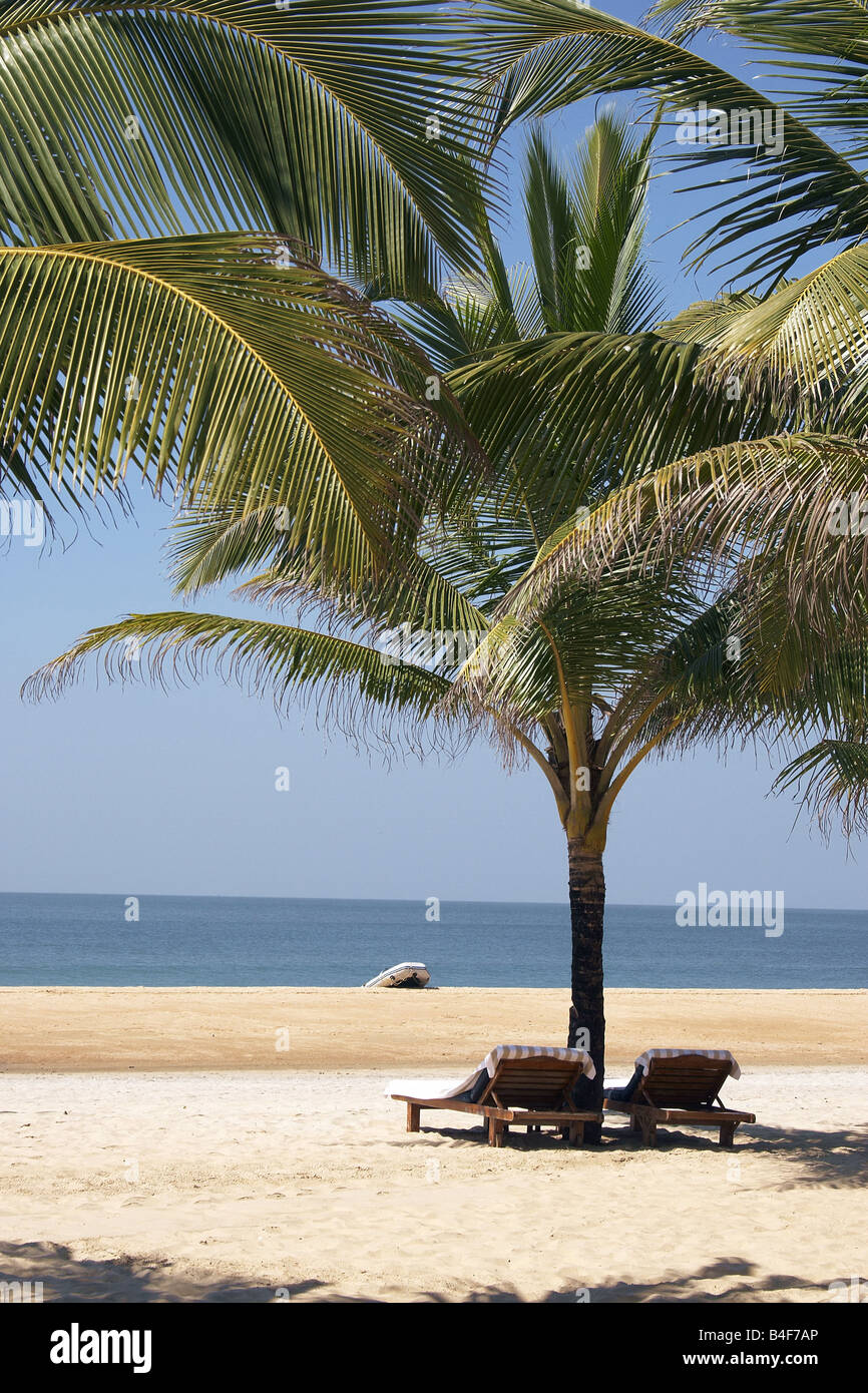 Beds and palm trees on the beach Stock Photo - Alamy