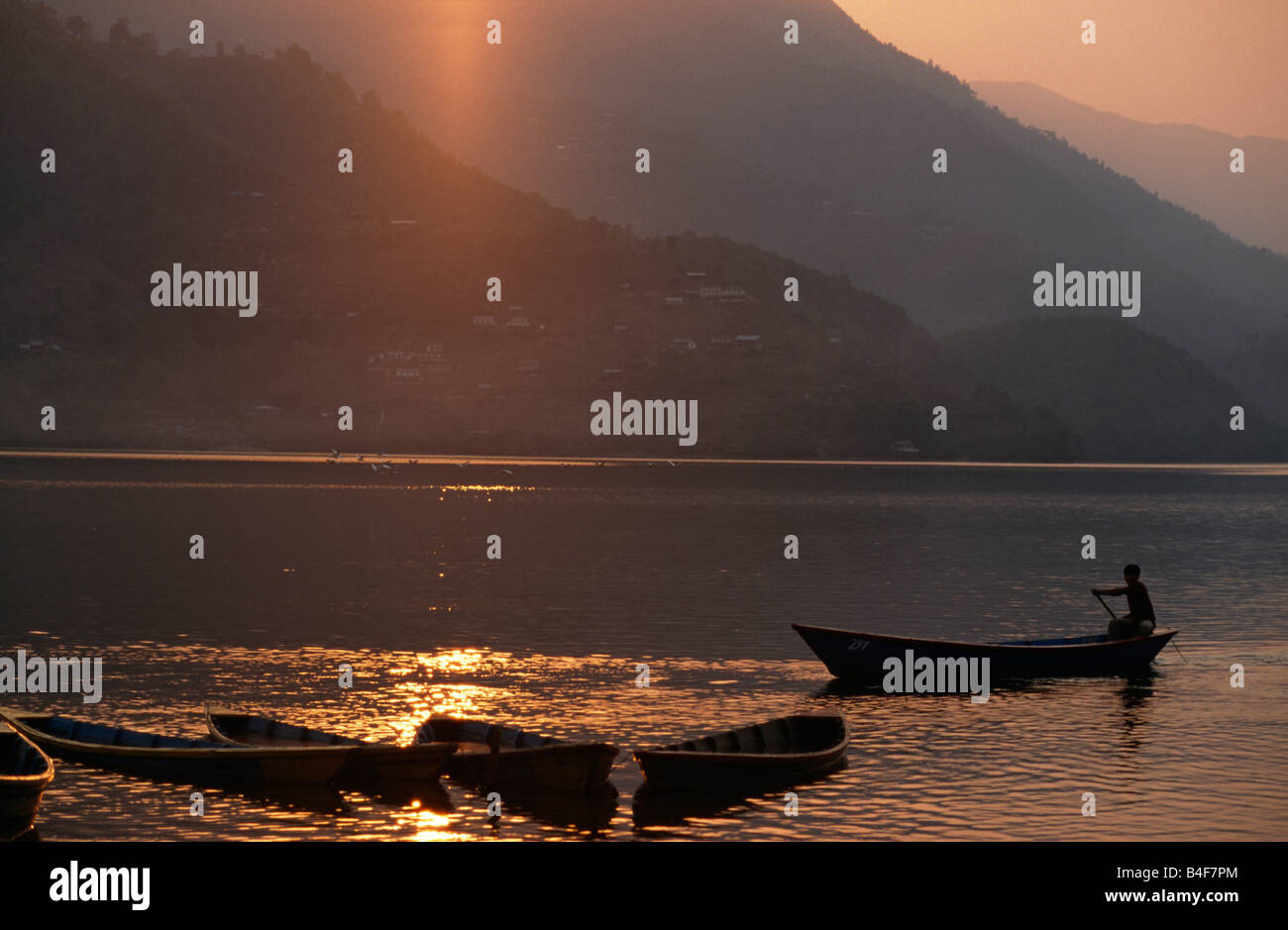 Boats on Phewa Lake at sunset, Pokhara, Nepal Stock Photo - Alamy