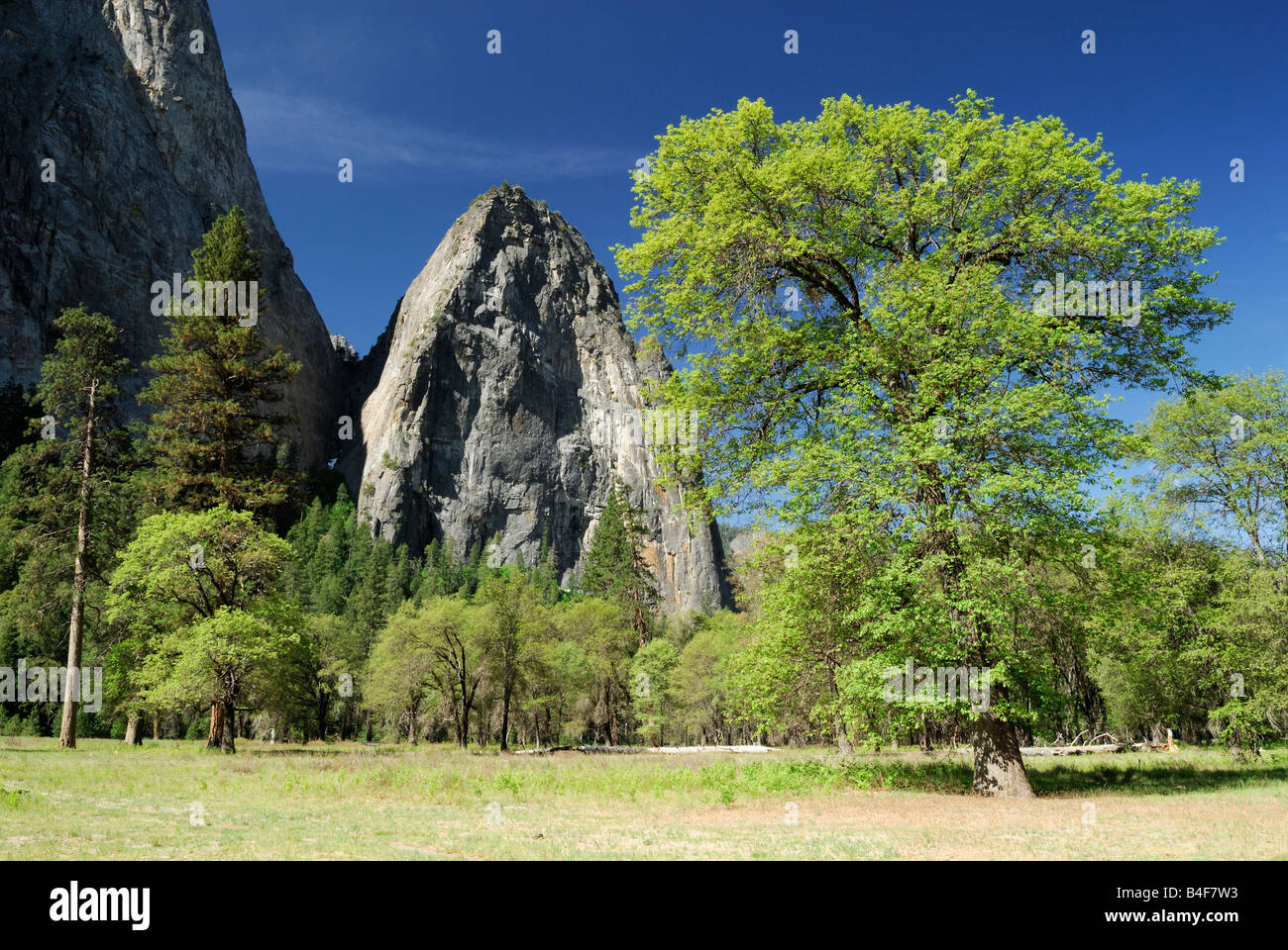 Spring in the valley hi-res stock photography and images - Alamy