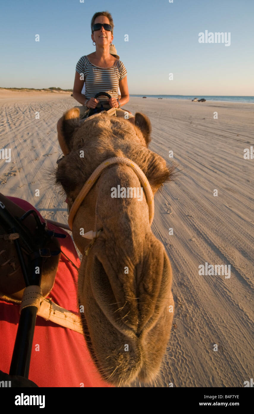 Camel australia hi-res stock photography and images - Alamy