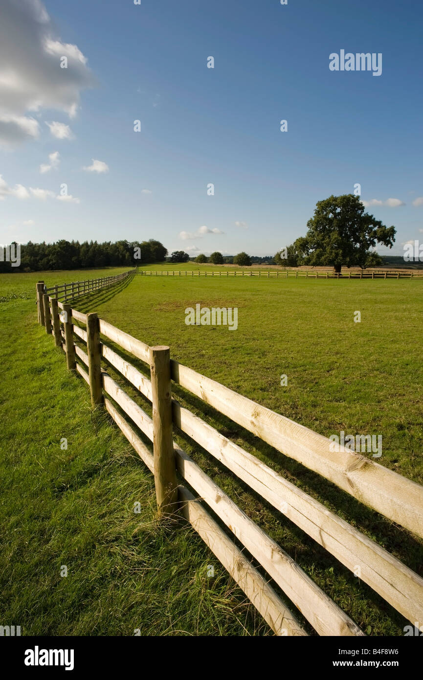 field of grass with tree fence and gate Stock Photo - Alamy