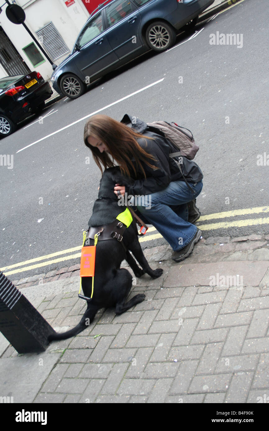 Black guide dog hi-res stock photography and images - Alamy